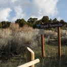 Ward Nevada Photo Gallery – Western Mining History