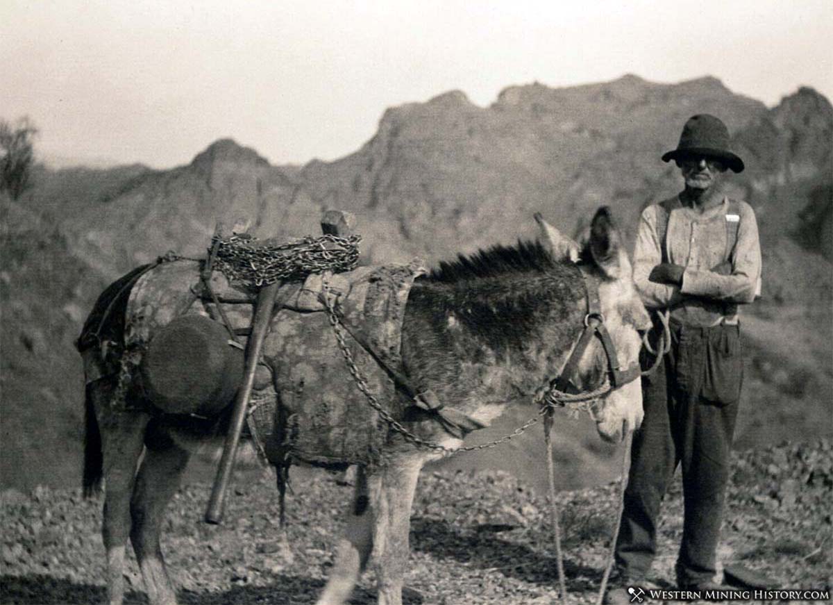 The Western Prospector – Western Mining History