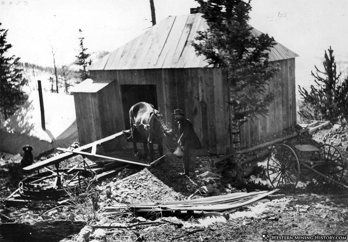 Dogs of the Mining West – Western Mining History