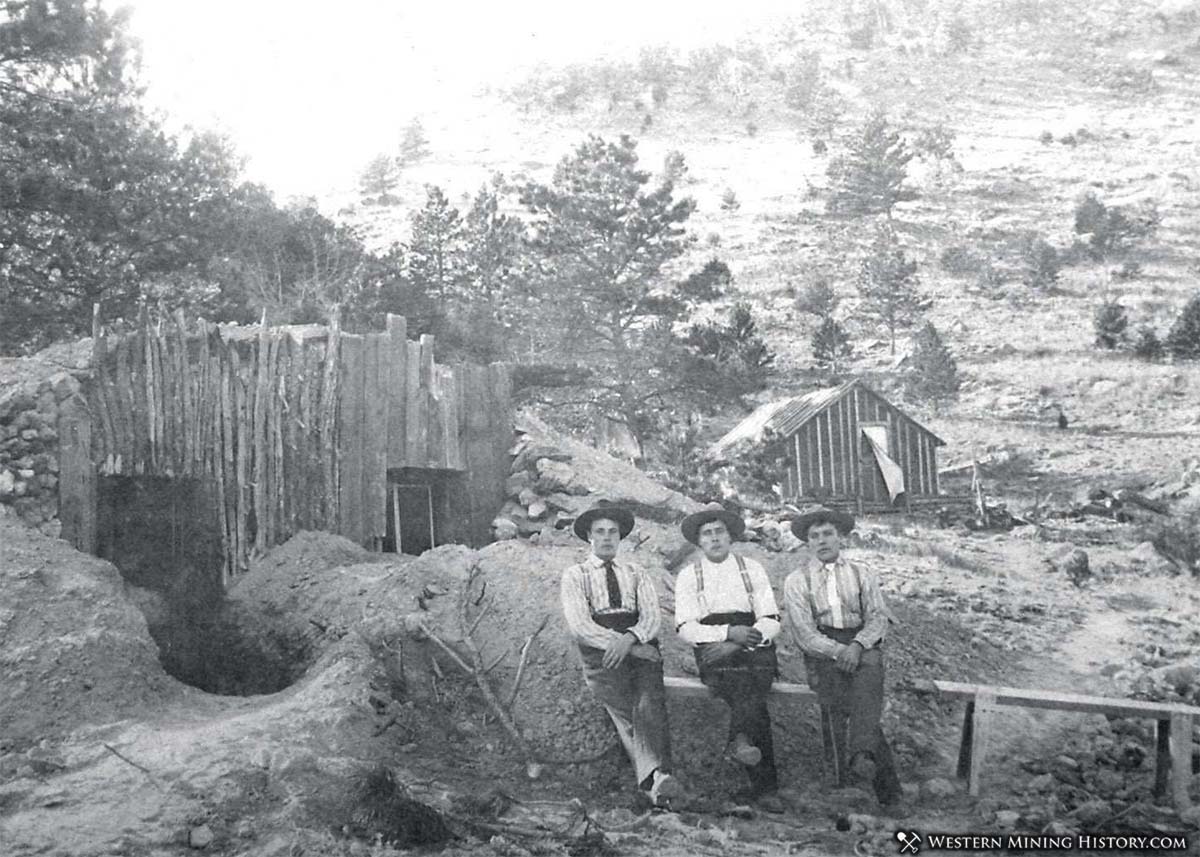 Miners Cabins: Bottles, Barrels, and Dugouts – Western Mining History