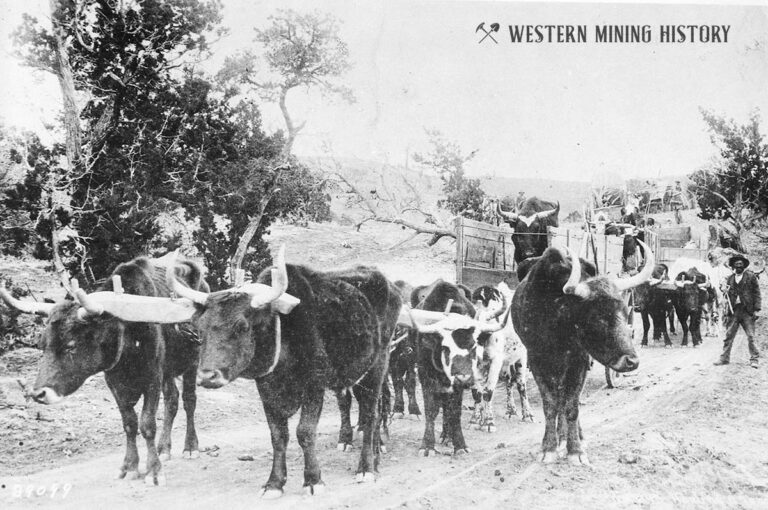 Heavy Freight Wagons of the American West – Western Mining History
