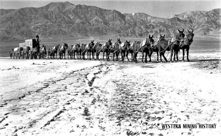 The Twenty Mule Teams of Death Valley – Western Mining History