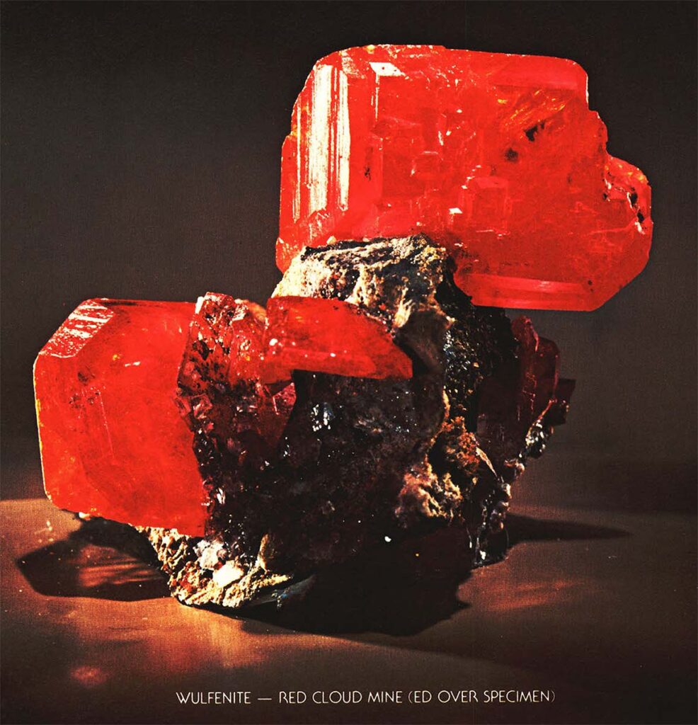 Members Only Articles – Western Mining History
